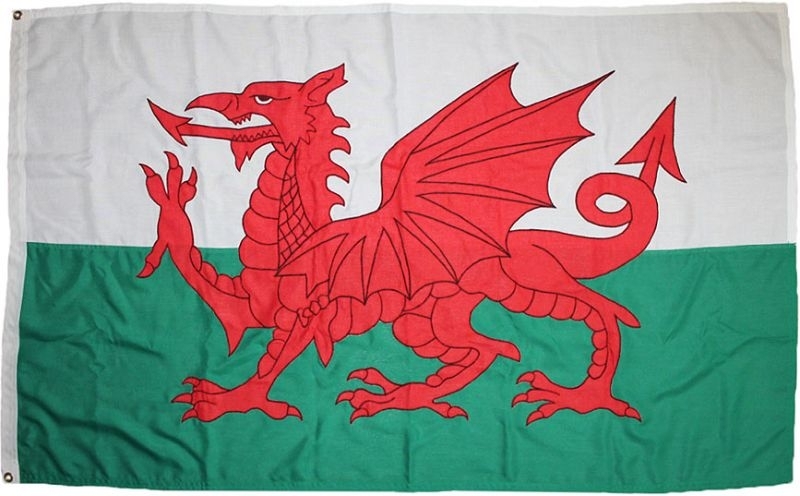Sewn Welsh Dragon Flag Sewn | National Flags | South Coast Flagpoles